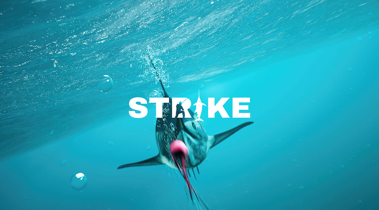 Strike Footwear – STRIKE