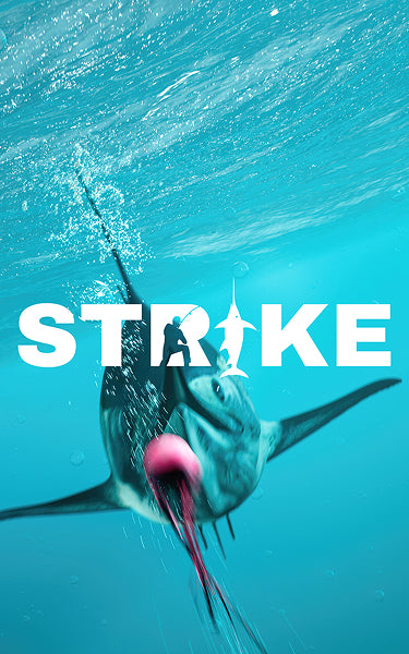 Strike Footwear – STRIKE
